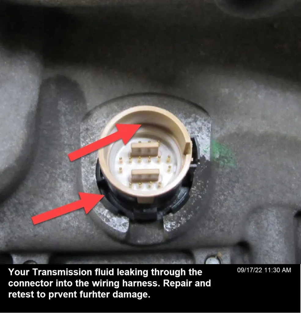 Hey, Why is My Transmission Warning Light on? | AutoTechIQ