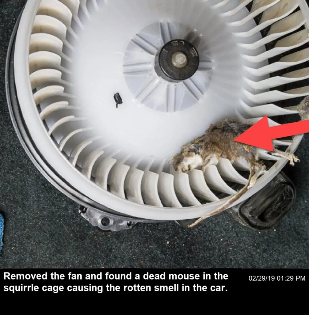 Hey, Why Does My Car AC Smell Like Vinegar? | AutoTechIQ