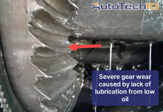 How does a front differential work? - Blog | AutoTechIQ